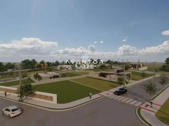 Terreno / Lote para Venda em Santa Maria/RS Tomazetti