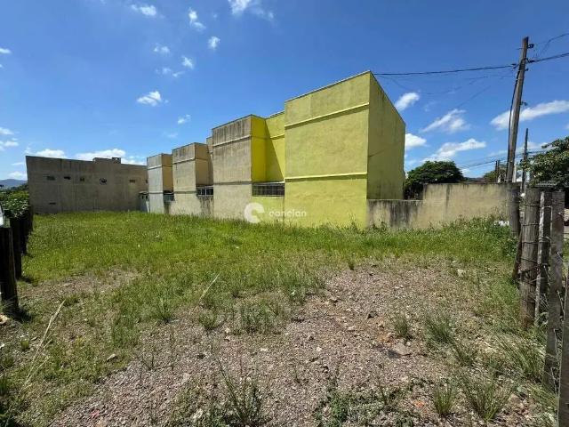 Terreno / Lote para Venda em Santa Maria/RS Tomazetti