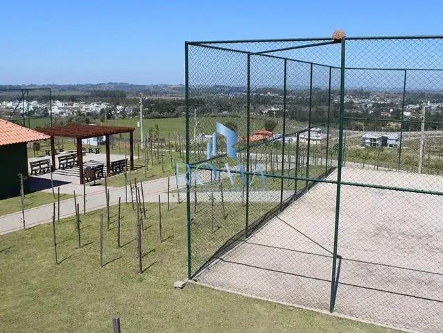 Terreno / Lote para Venda em Santa Maria/RS Tomazetti