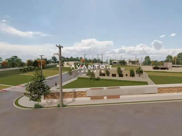 Terreno / Lote para Venda em Santa Maria/RS Tomazetti