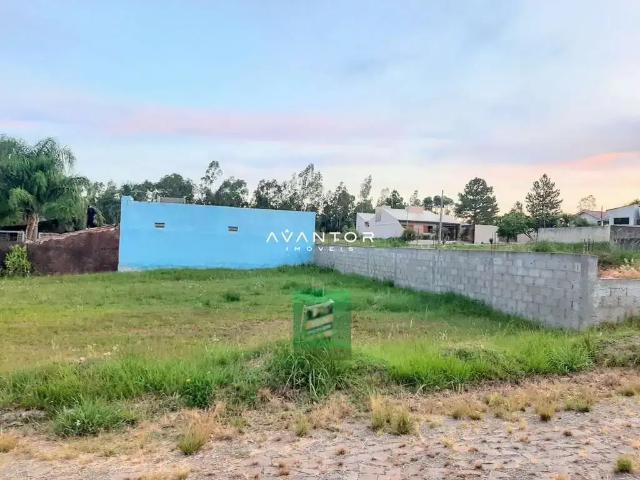 Terreno / Lote para Venda em Santa Maria/RS Tomazetti