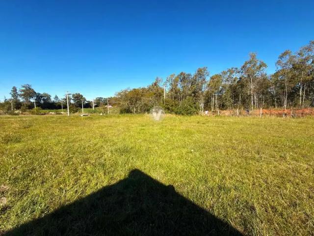 Terreno / Lote para Venda em Santa Maria/RS Tomazetti
