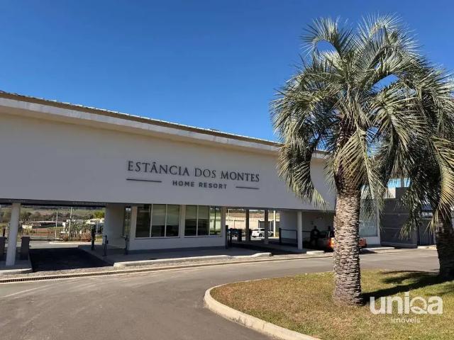 Terreno / Lote para Venda em Santa Maria/RS Tomazetti