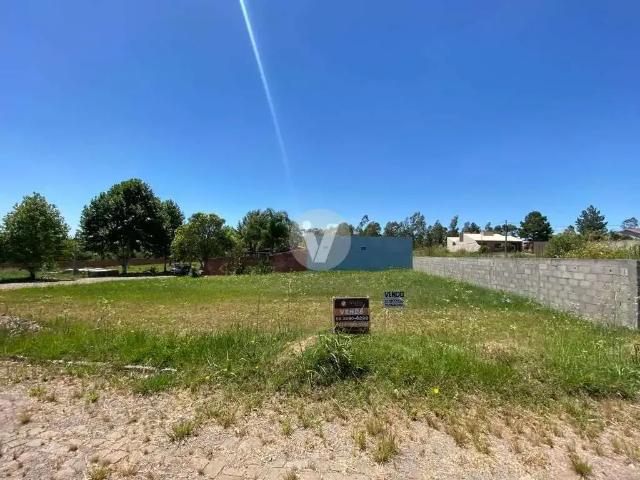 Terreno / Lote para Venda em Santa Maria/RS Tomazetti