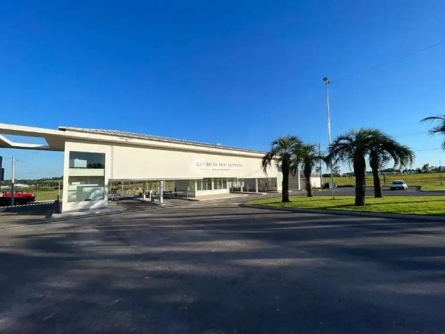 Terreno / Lote para Venda em Santa Maria/RS Tomazetti