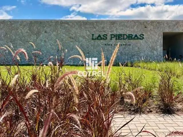 Terreno / Lote para Venda em Santa Maria/RS Tomazetti