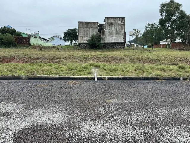 Terreno / Lote para Venda em Santa Maria/RS Tomazetti
