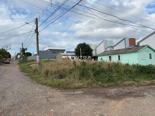 Terreno / Lote para Venda em Santa Maria/RS Tomazetti