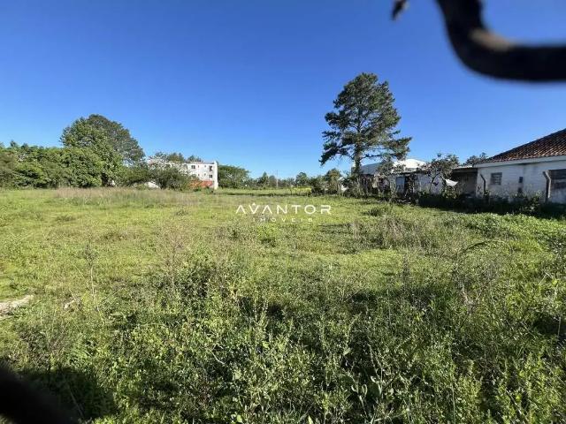 Terreno / Lote para Venda em Santa Maria/RS Tomazetti