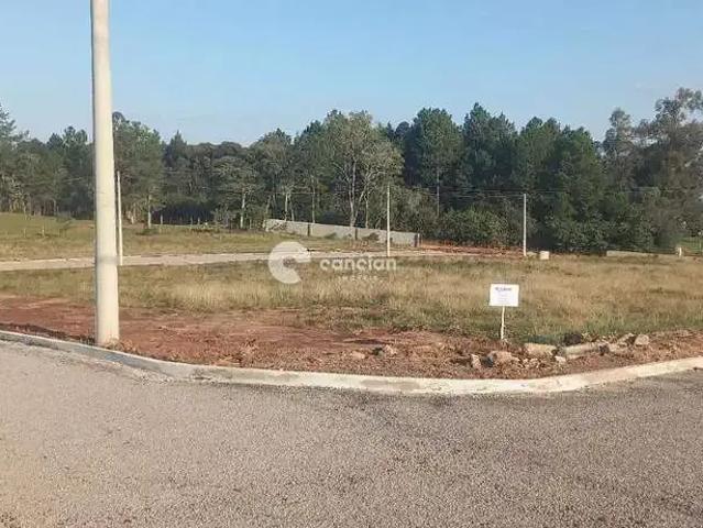 Terreno / Lote para Venda em Santa Maria/RS Tomazetti