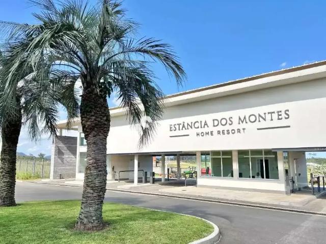 Terreno / Lote para Venda em Santa Maria/RS Tomazetti
