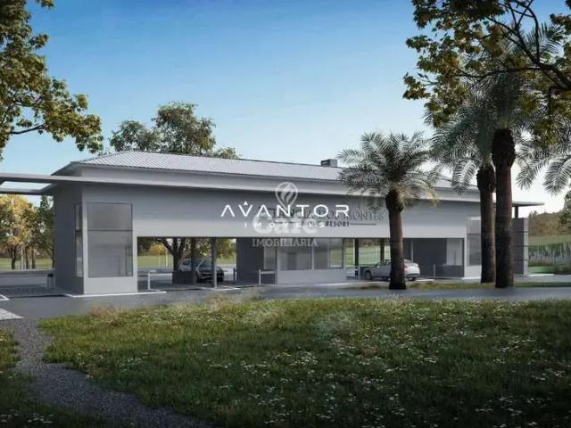 Terreno / Lote para Venda em Santa Maria/RS Tomazetti