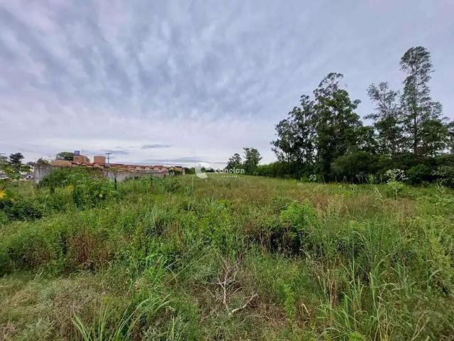 Terreno / Lote para Venda em Santa Maria/RS Uglione