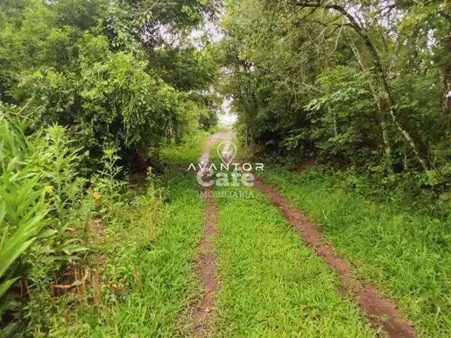 Terreno / Lote para Venda em Santa Maria/RS Zona Rural
