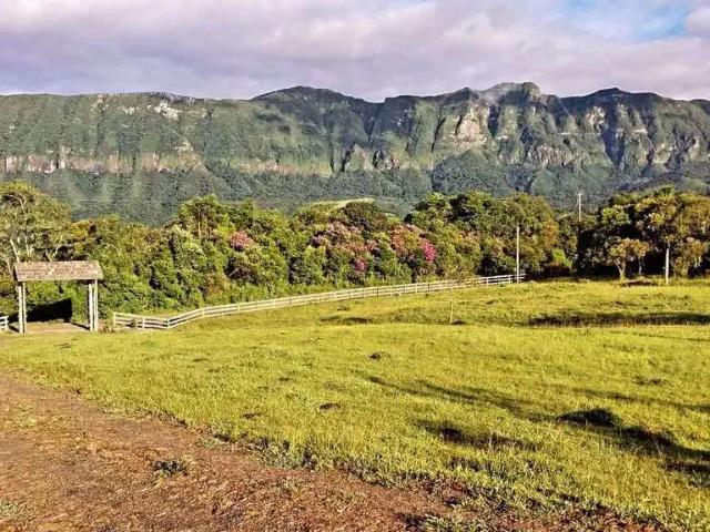Terreno / Lote para Venda em Santa Rosa de Lima/SC Centro