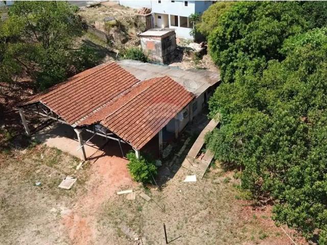 Terreno / Lote para Venda em Santa Rosa de Viterbo/SP Centro