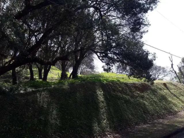 Terreno / Lote para Venda em Santana de Parnaíba/SP Condomínio Voturuna