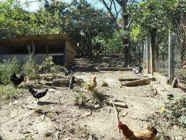 Terreno / Lote para Venda em Santana de Parnaíba/SP Chácara das Garças