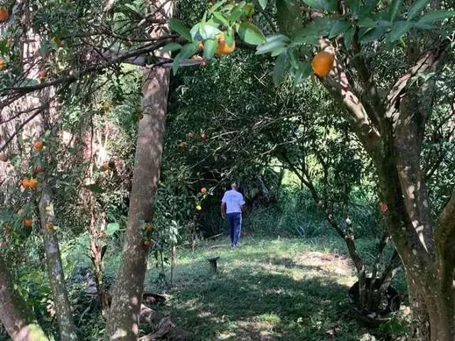 Terreno / Lote para Venda em Santana de Parnaíba/SP Chácara das Garças