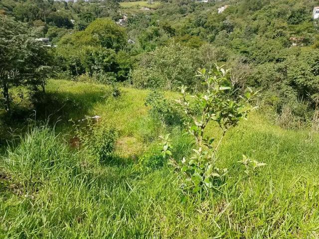 Terreno / Lote para Venda em Santana de Parnaíba/SP Chácara das Garças