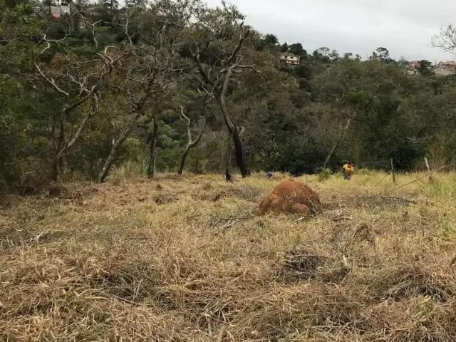 Terreno / Lote para Venda em Santana de Parnaíba/SP Chácara Jaguari Fazendinha