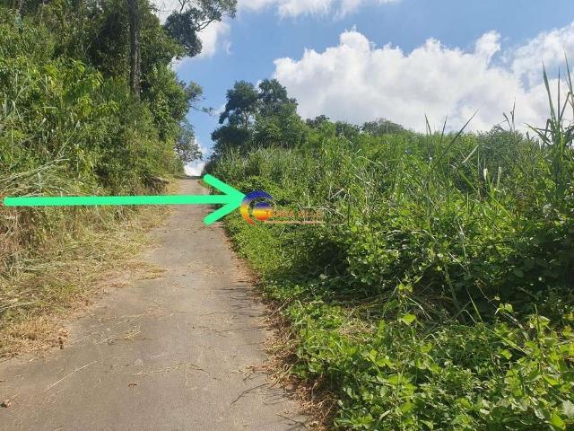 Terreno / Lote para Venda em Santana de Parnaíba/SP Chácaras São Luís