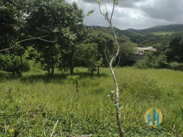 Terreno / Lote para Venda em Santana de Parnaíba/SP Chácaras São Luís