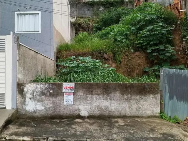 Terreno / Lote para Venda em Santana de Parnaíba/SP Cidade São Pedro Gleba A