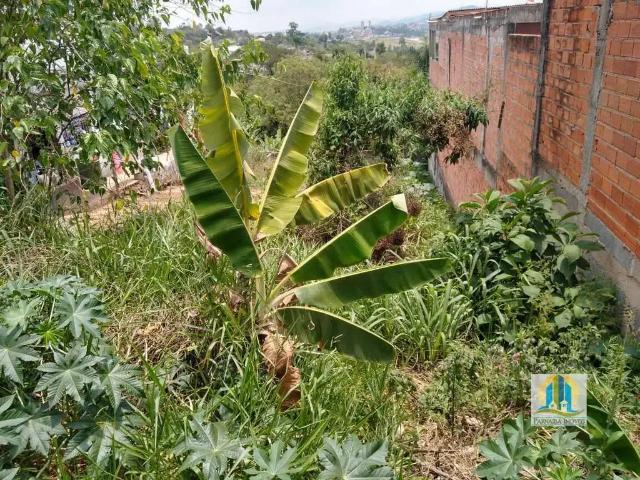 Terreno / Lote para Venda em Santana de Parnaíba/SP Cidade São Pedro Gleba C