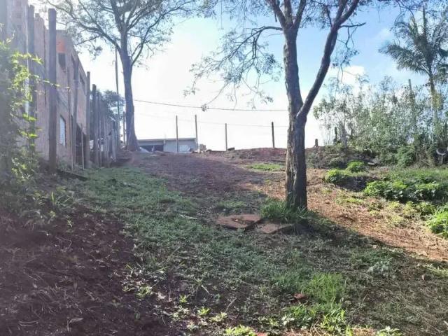 Terreno / Lote para Venda em Santana de Parnaíba/SP Cristal Park