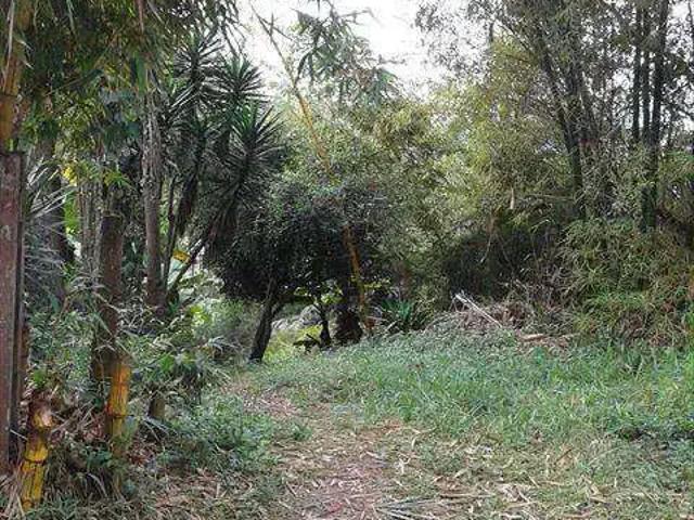 Terreno / Lote para Venda em Santana de Parnaíba/SP Cururuquara