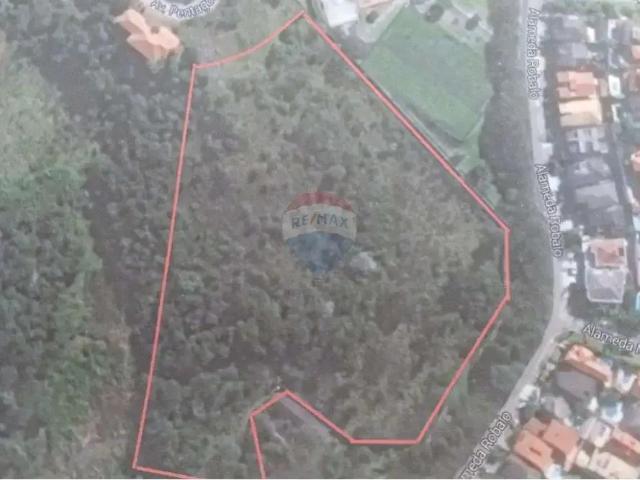Terreno / Lote para Venda em Santana de Parnaíba/SP Alphaville