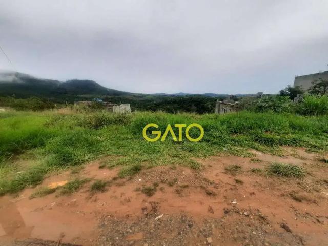 Terreno / Lote para Venda em Santana de Parnaíba/SP Itaim Mirim