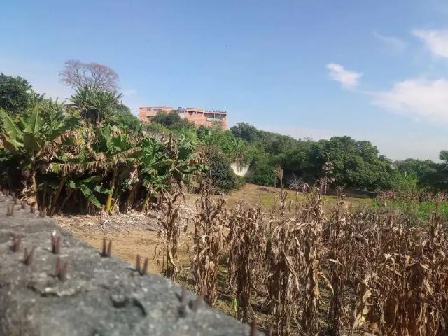 Terreno / Lote para Venda em Santana de Parnaíba/SP Jardim Arco Íris