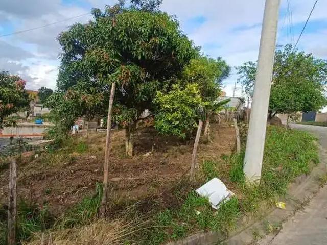 Terreno / Lote para Venda em Santana de Parnaíba/SP Jardim Clementino Fazendinha