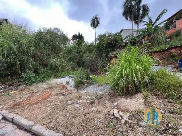 Terreno / Lote para Venda em Santana de Parnaíba/SP Jardim Clementino Fazendinha