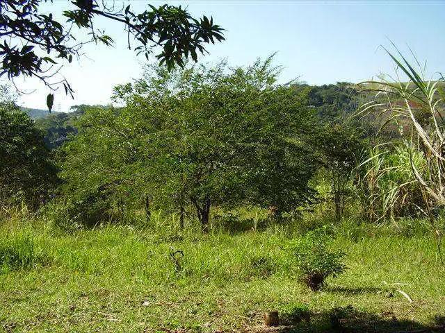 Terreno / Lote para Venda em Santana de Parnaíba/SP Jardim Parnaíba