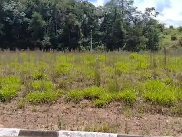 Terreno / Lote para Venda em Santana de Parnaíba/SP Loteamento Jardim das Flores