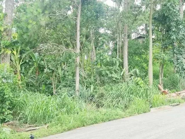 Terreno / Lote para Venda em Santana de Parnaíba/SP Maria Mercedes