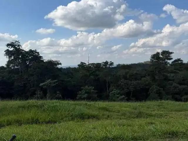 Terreno / Lote para Venda em Santana de Parnaíba/SP Sítio do Morro