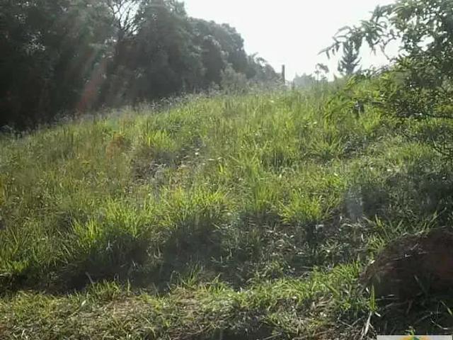 Terreno / Lote para Venda em Santana de Parnaíba/SP Suru