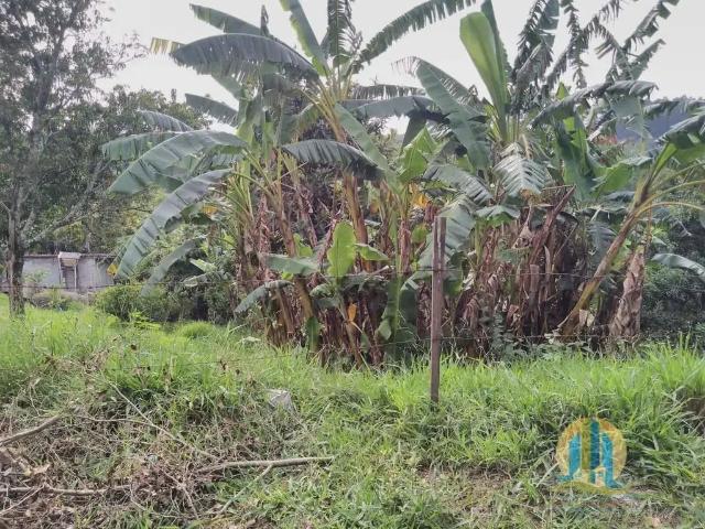 Terreno / Lote para Venda em Santana de Parnaíba/SP Parque Mirante de Parnaíba