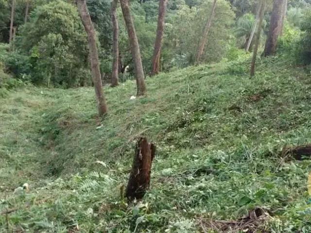Terreno / Lote para Venda em Santana de Parnaíba/SP Parque Jaguari Fazendinha