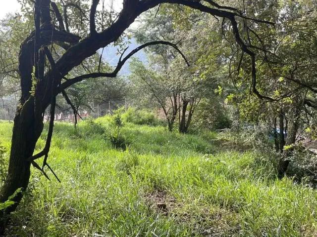 Terreno / Lote para Venda em Santana de Parnaíba/SP Parque Santana
