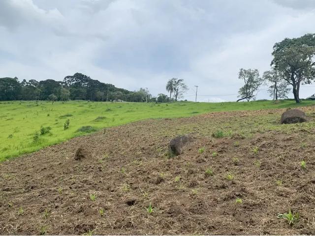 Terreno / Lote para Venda em Santana de Parnaíba/SP Quintas de Maria Elvira