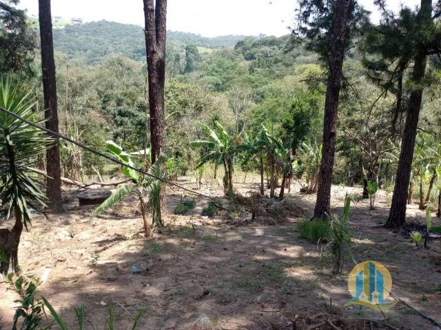 Terreno / Lote para Venda em Santana de Parnaíba/SP Quintas do Ingaí