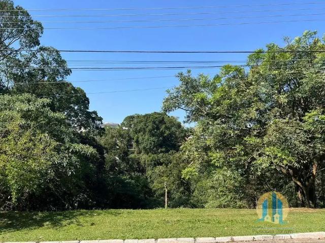 Terreno / Lote para Venda em Santana de Parnaíba/SP Tarumã