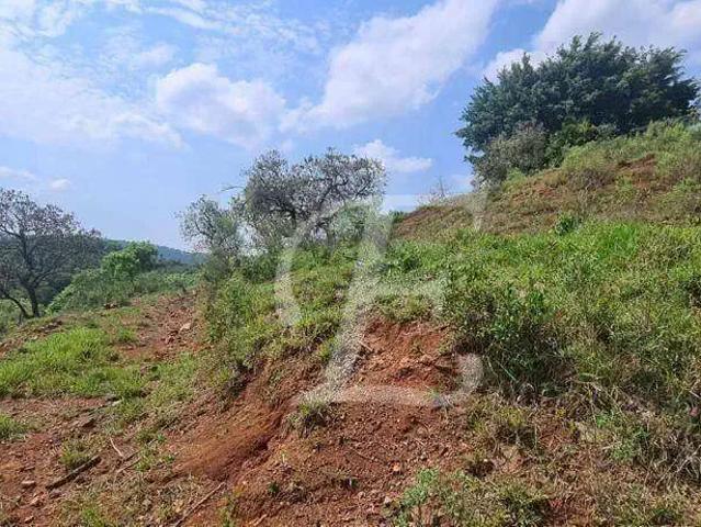 Terreno / Lote para Venda em Santana de Parnaíba/SP Vila Velha