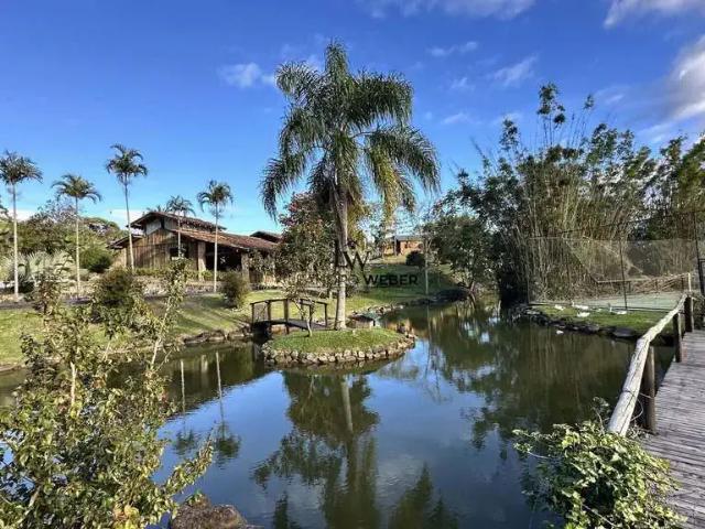 Terreno / Lote para Venda em Santo Amaro da Imperatriz/SC Centro