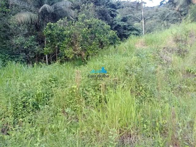 Terreno / Lote para Venda em Santo Amaro da Imperatriz/SC Centro